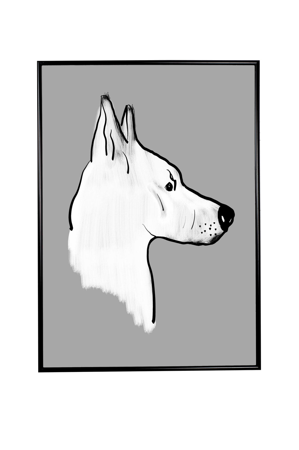White fang aka Colt Alb – Aer Wear